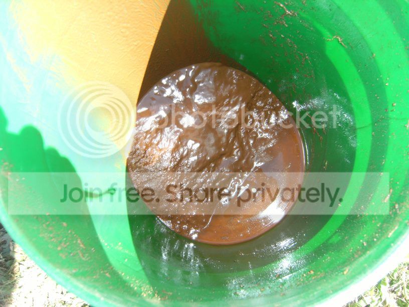 Processing "Loam" samples | Alluvial Gold Prospectors