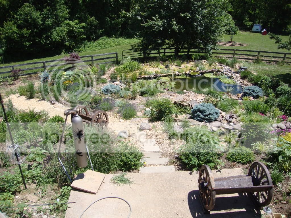 One pond, one problem, how to fix it ? (run off) | Garden Pond Forums